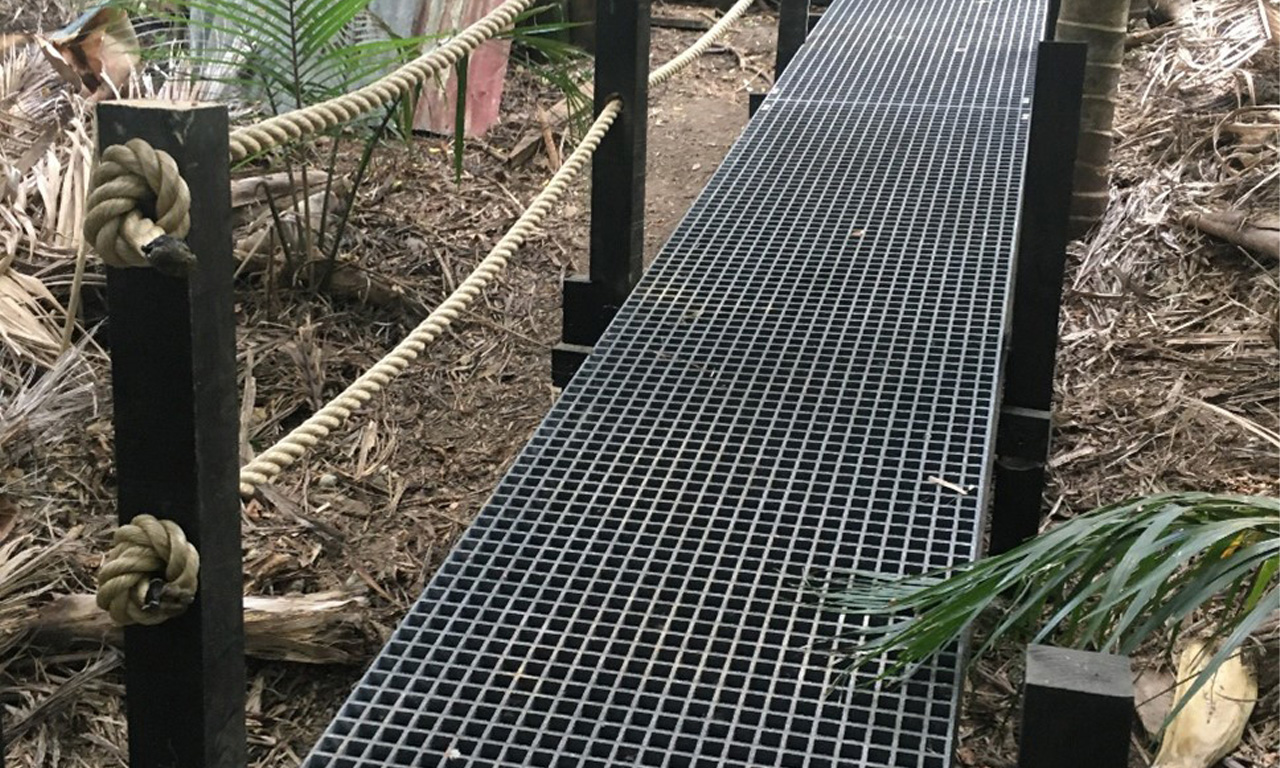 Walkway through native bushwalk on Waiheke Island | Perry Grating
